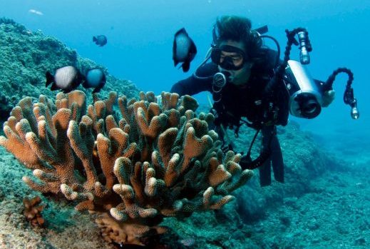 NEW SCUBA DIVER GUIDE: What Is A “two Tank Dive?” | Hawaii Eco Divers ...