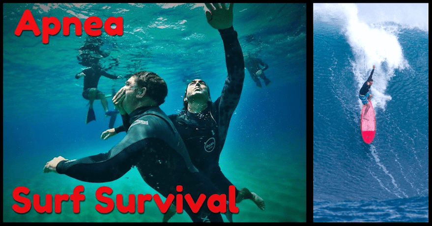Apnea & Surf Survival Course Is Back In California | Hawaii Eco Divers ...