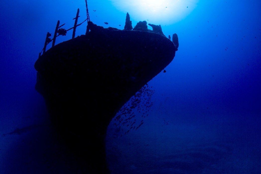 Wreck and Reef Boat Dive in Oahu | Hawaii Eco Divers