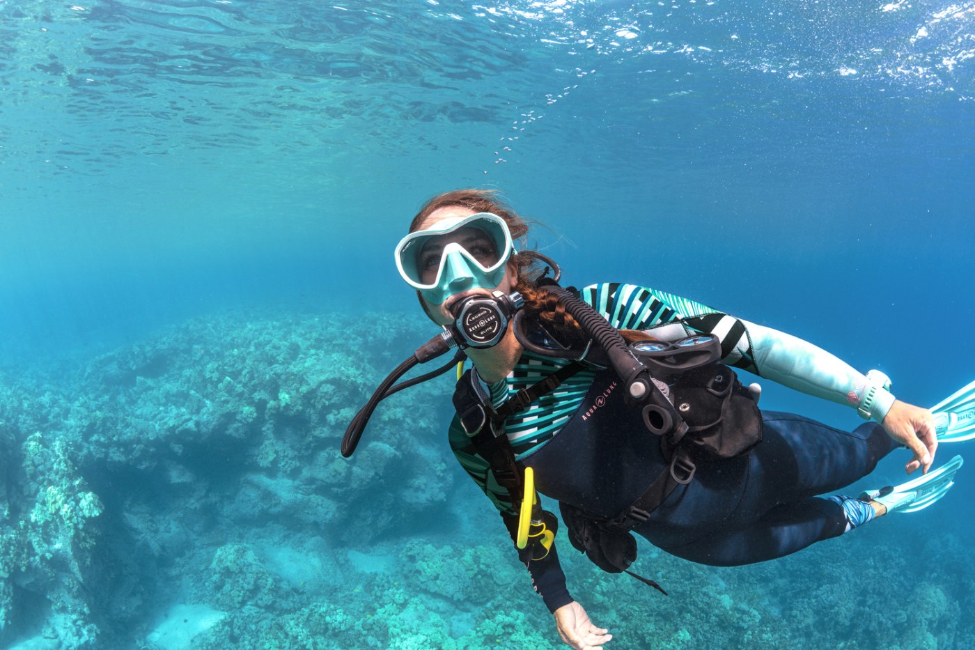 A Beginner's Guide to Scuba Diving in Hawaii